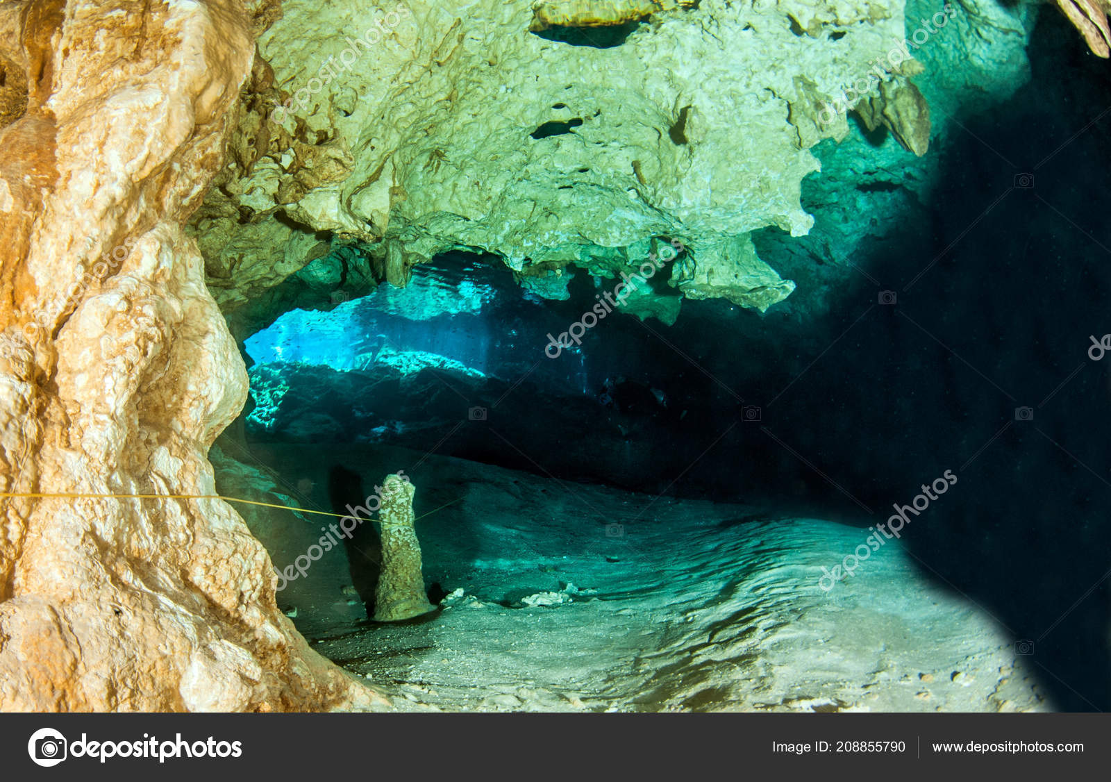 Scuba Diving Cenote Nicte Mexico — Stock Photo © Divepics #208855790