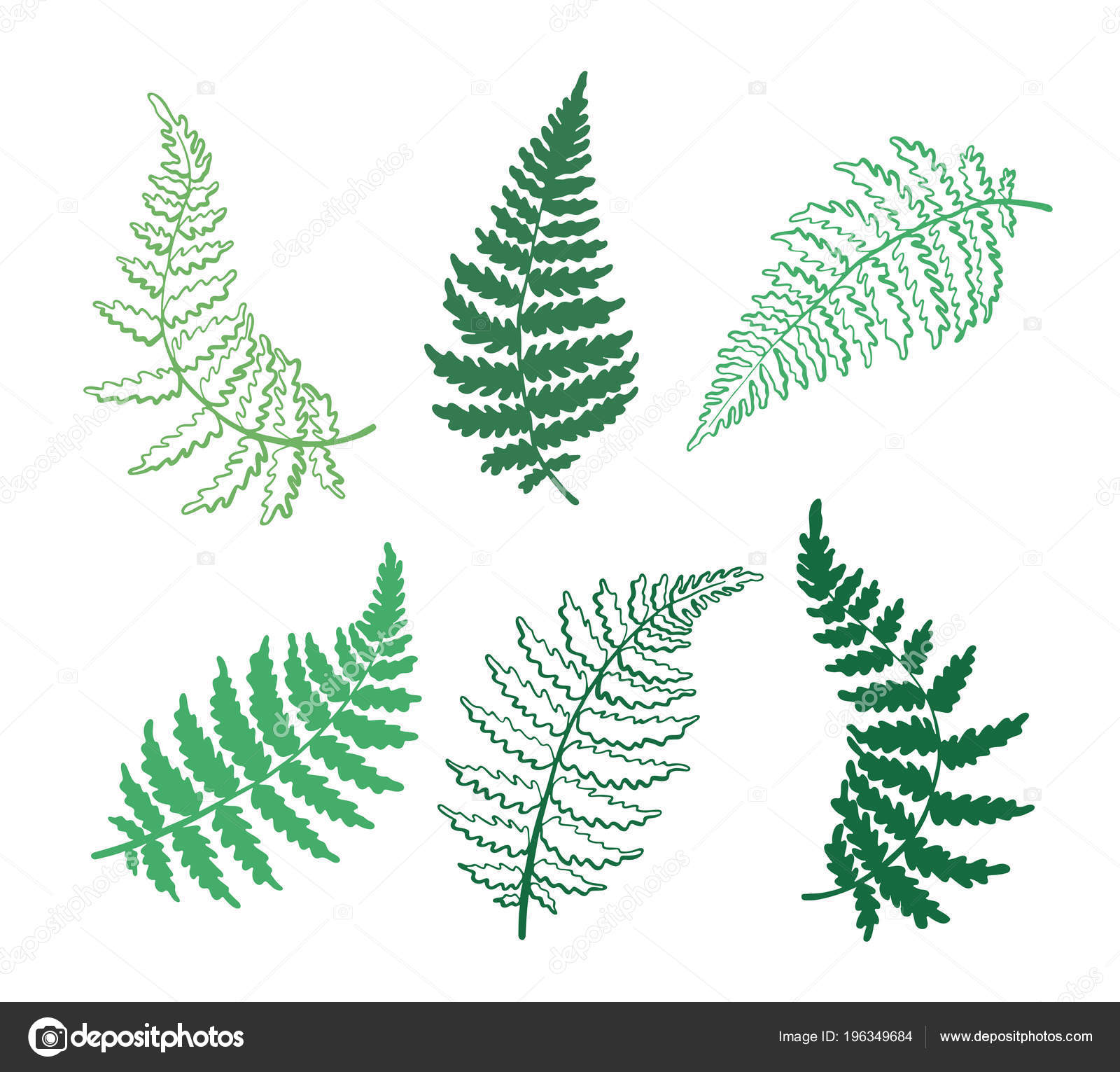Fern leaf outline | Vector botanical illustration of fern leaf — Stock ...