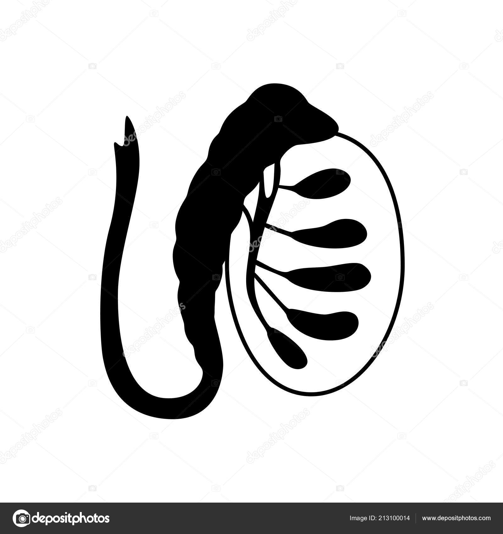 Male reproductive system. Vector illustration Stock Vector by ©Pikovit ...