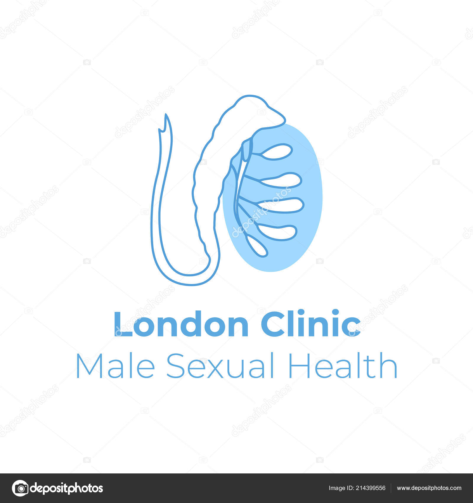 Male reproductive system. Vector illustration Stock Vector by ©Pikovit ...