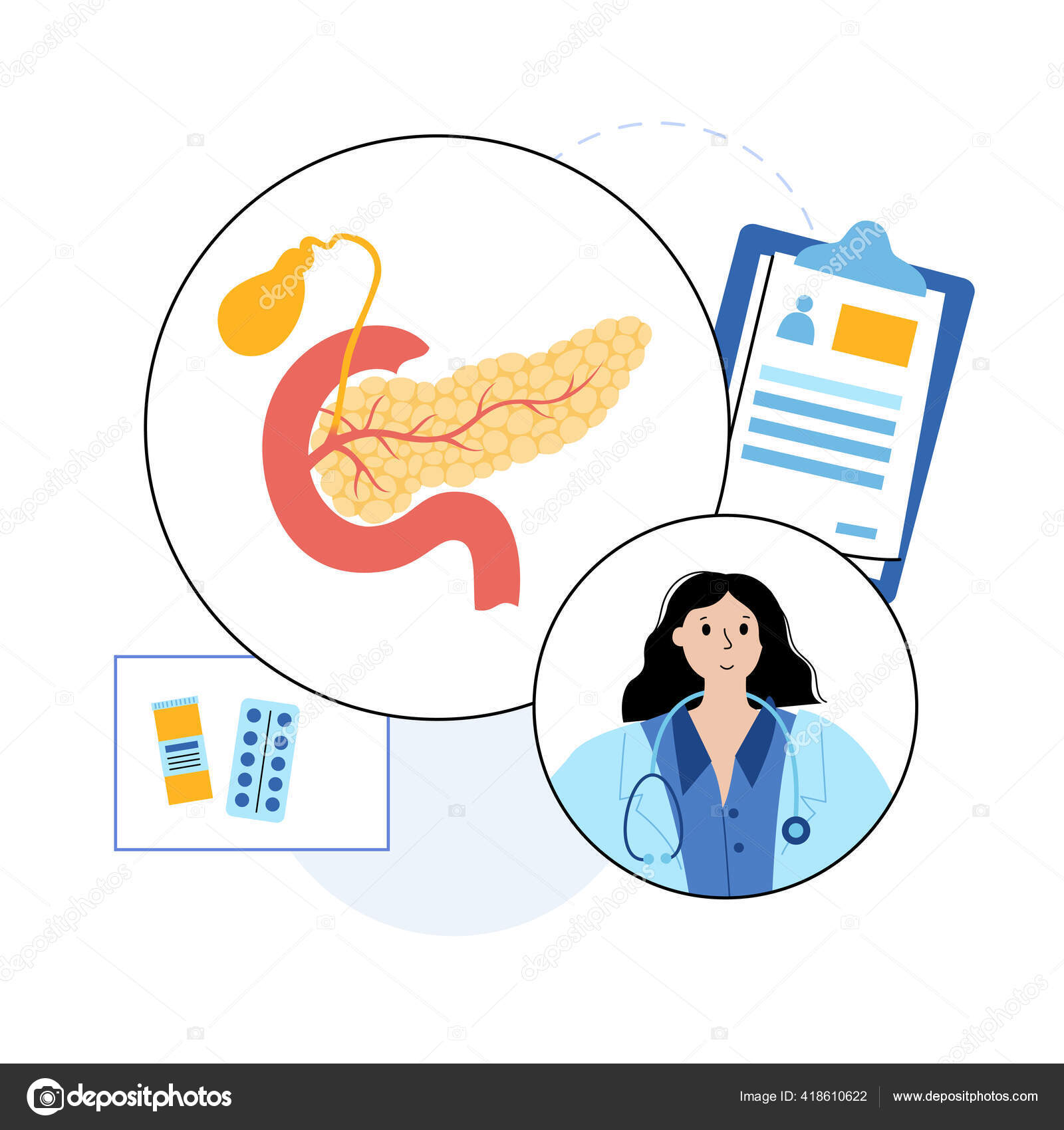 Pancreas logo concept Stock Vector Image by ©Pikovit #418610622