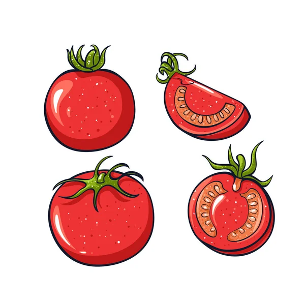 100,000 Desenho fases tomate Vector Images | Depositphotos