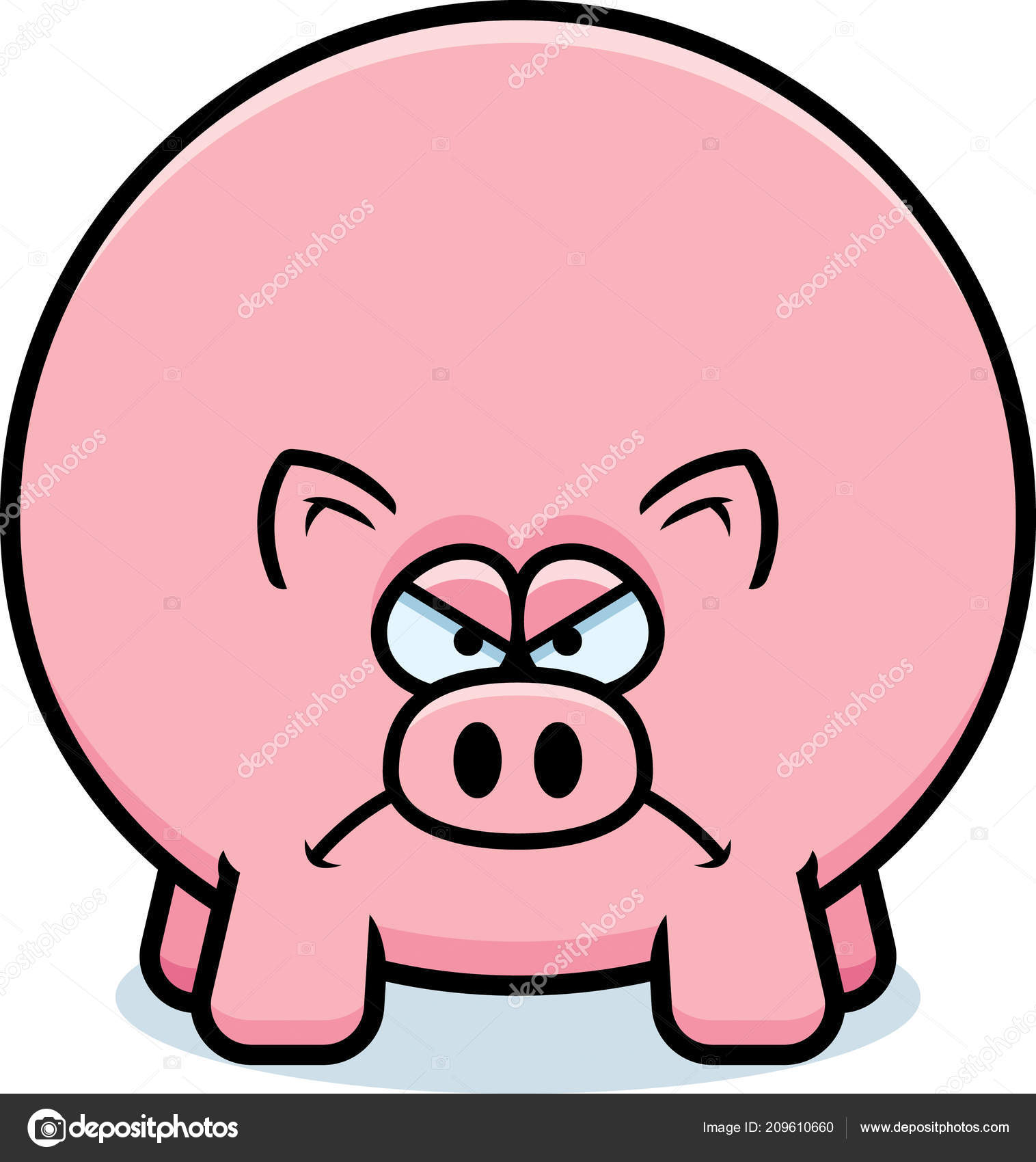 Cartoon Angry Pig