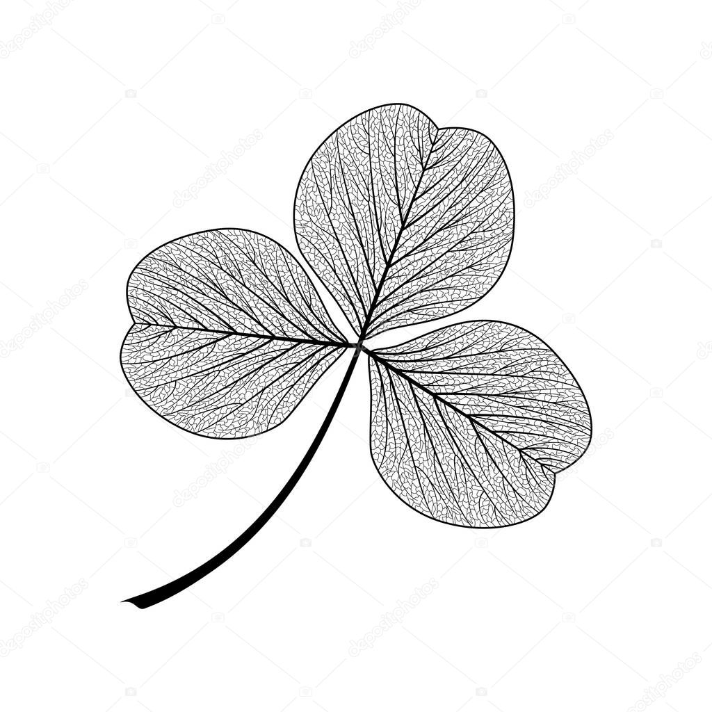 Tr bol de hojas aislado. Ilustraci n vectorial. EPS 10 2024