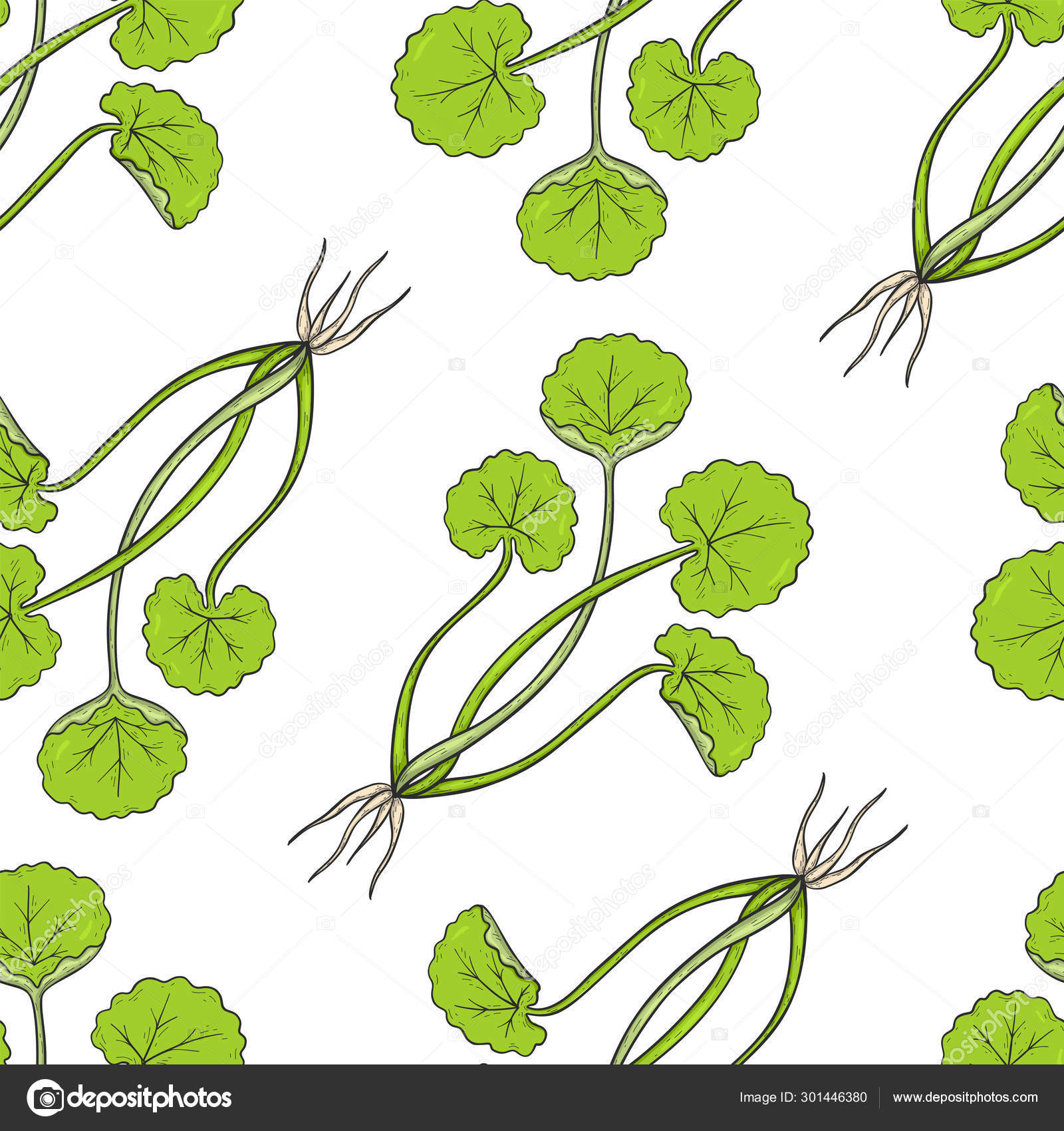 Seamless pattern of Centella asiatica — Stock Vector © NinaFedorova ...