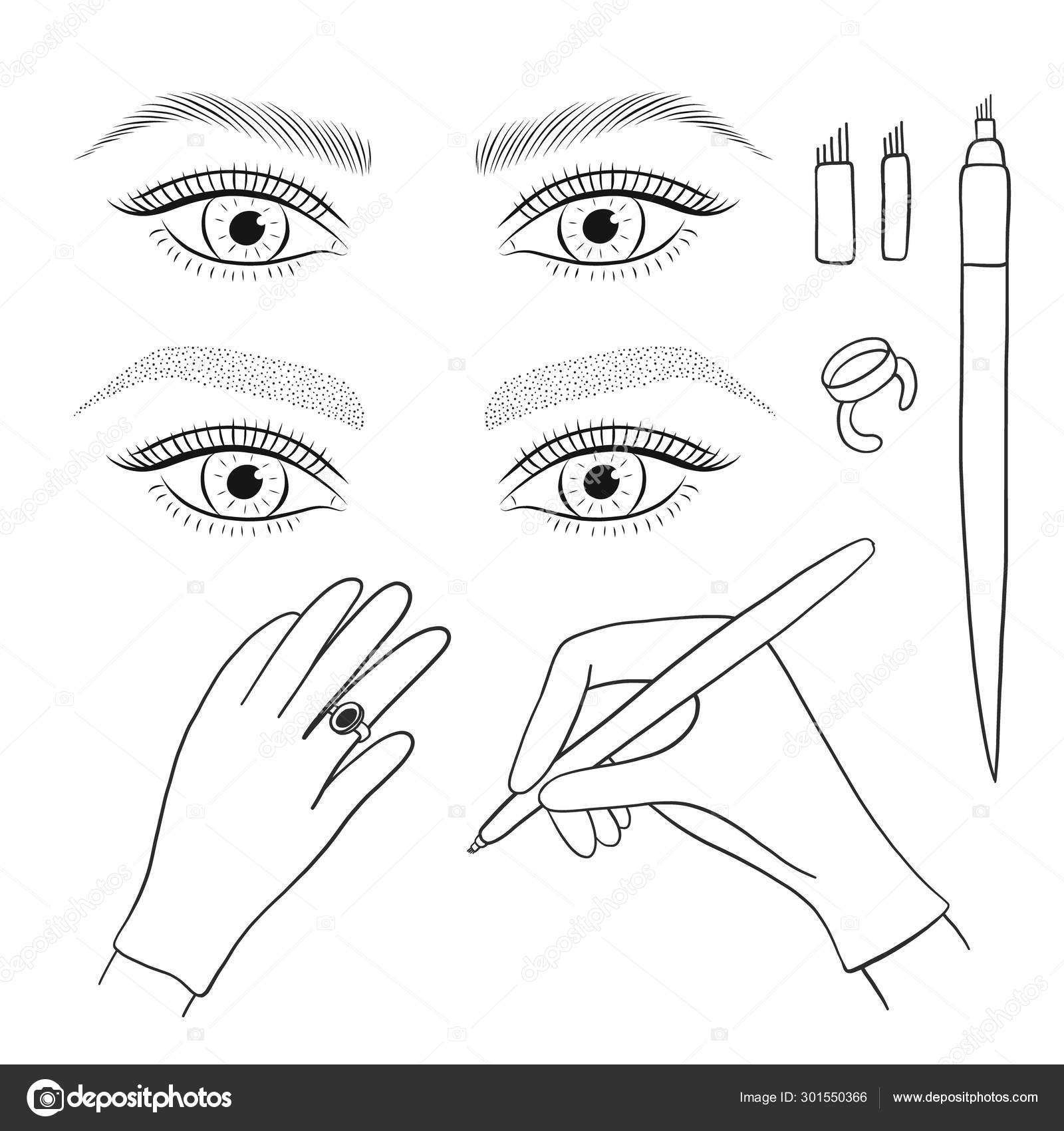 Microblading, microshading eyebrows. Stock Vector Image by ...