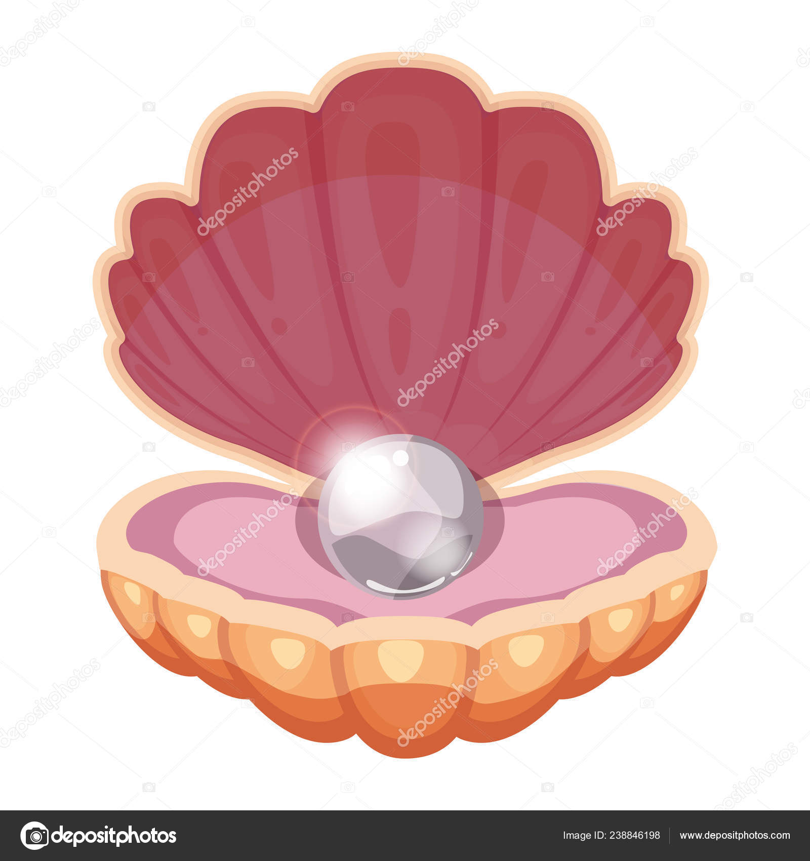 Open Seashell Cartoon