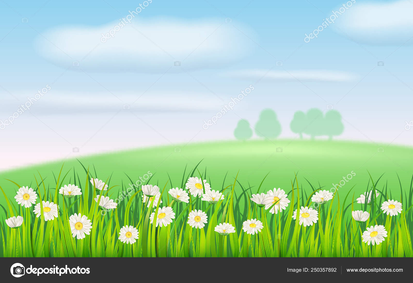 Cartoon Field Of Flowers