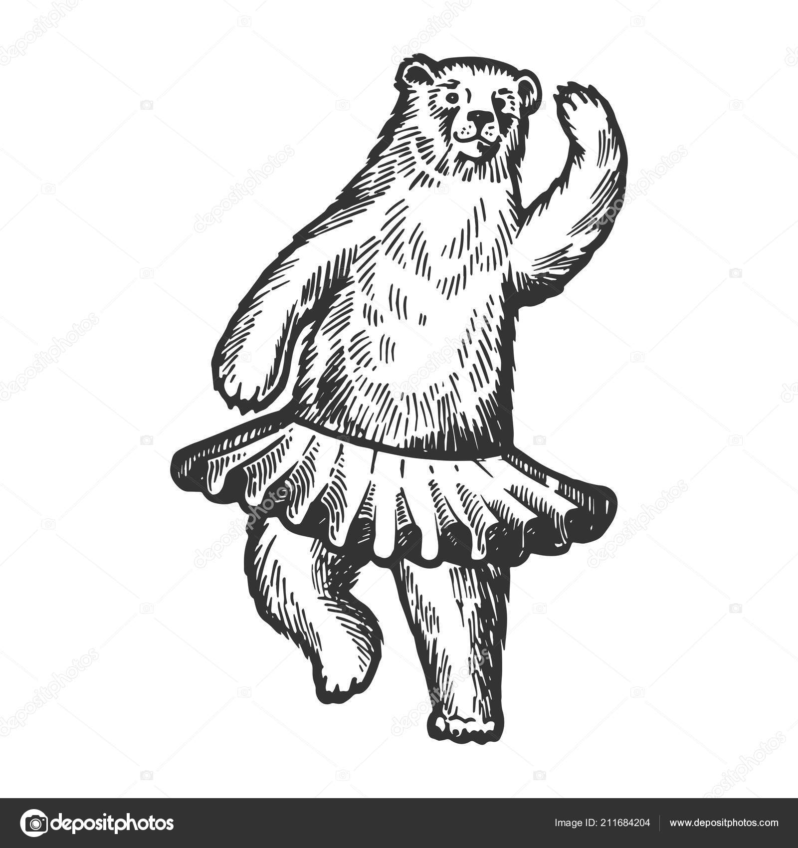 Dancing circus bear animal engraving vector illustration. Scratch board ...