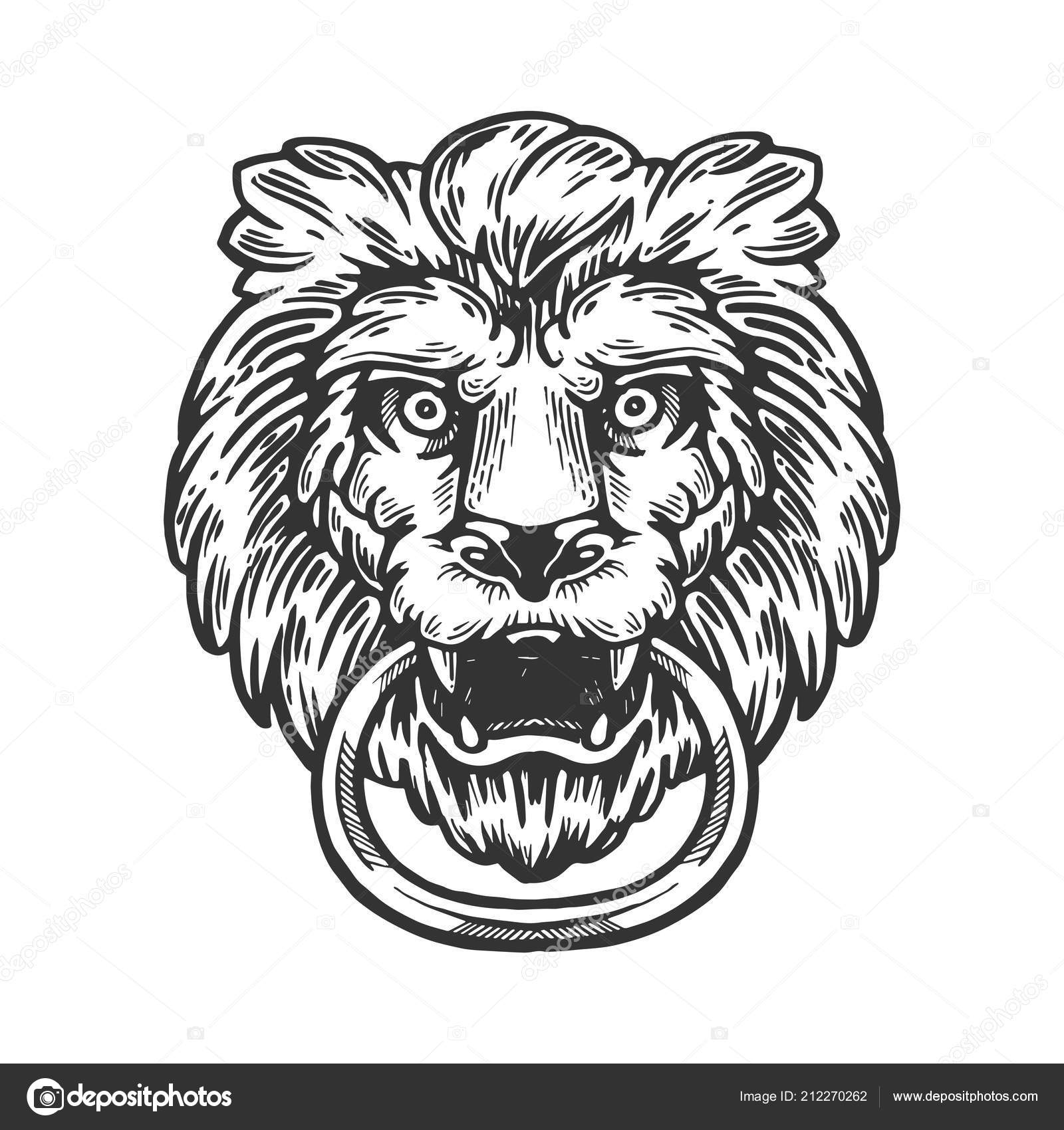 Scratch Art Animals Lion