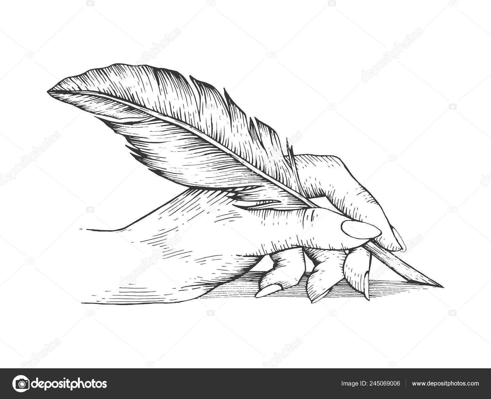 Writing Hand Drawing