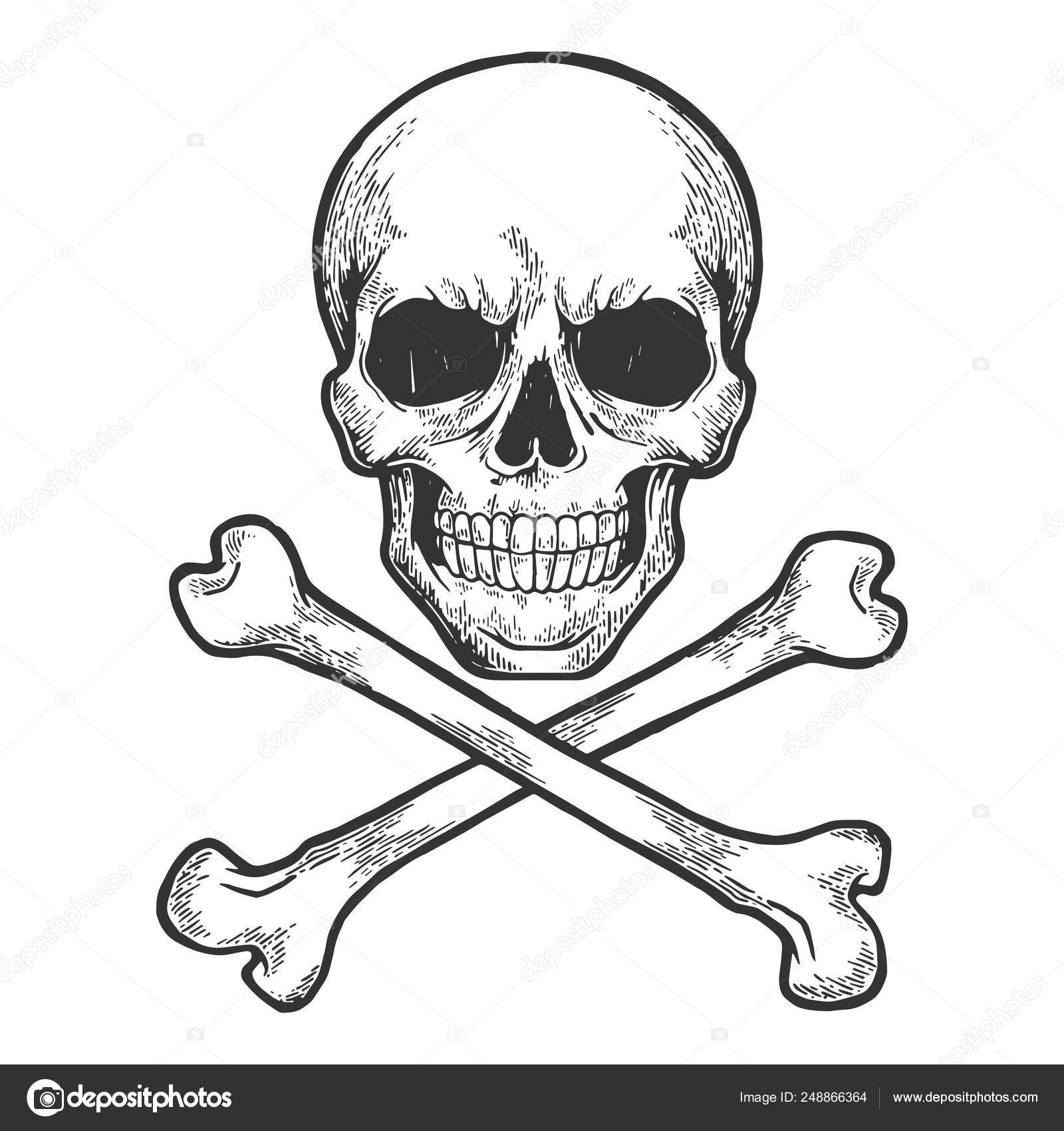 Skull With Crossed Bones Pirate Symbol Jolly Roger Sketch Engraving
