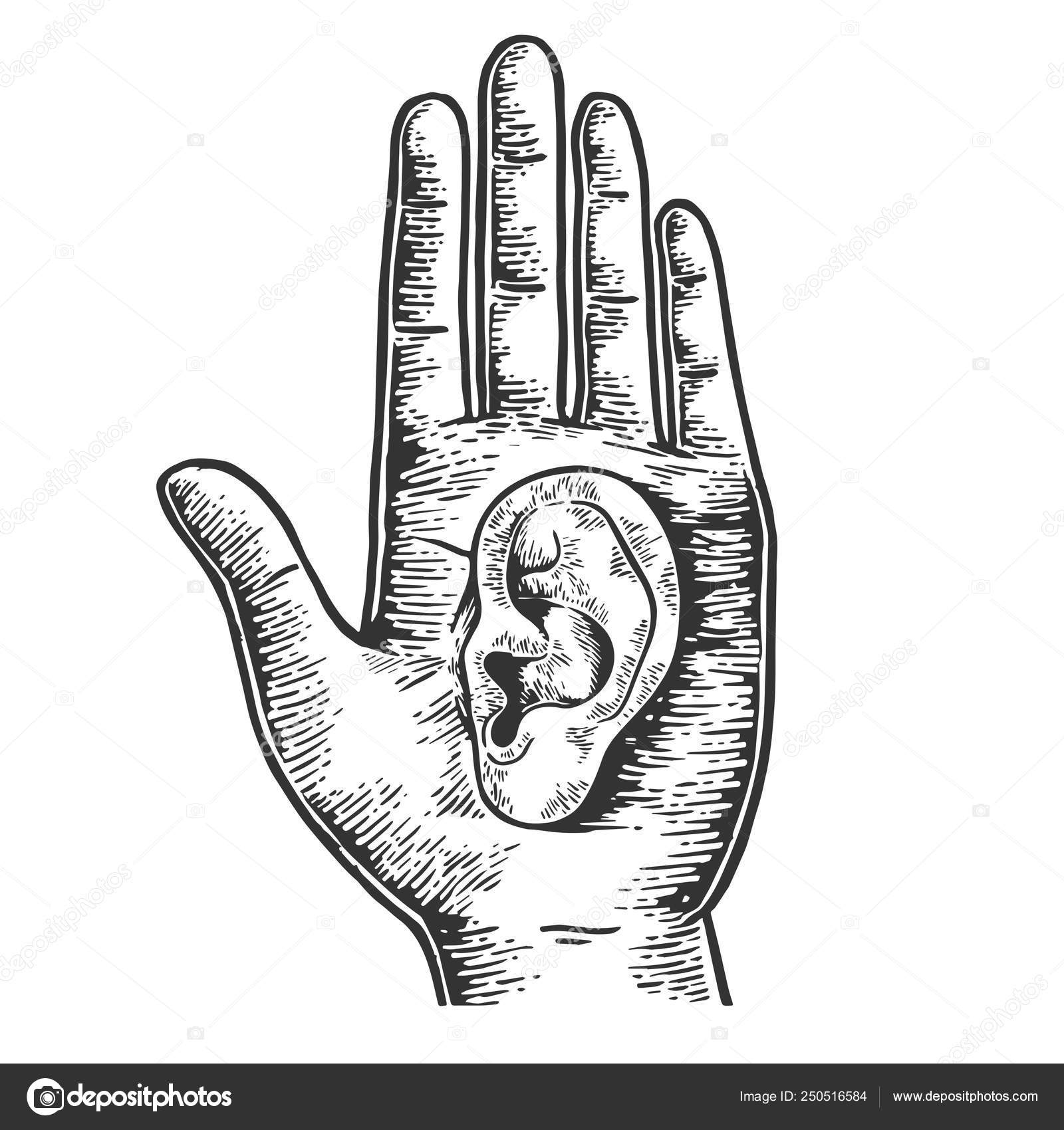 Croquis De La Main Paume Geste De La Main. Paume Ouverte. Illustration