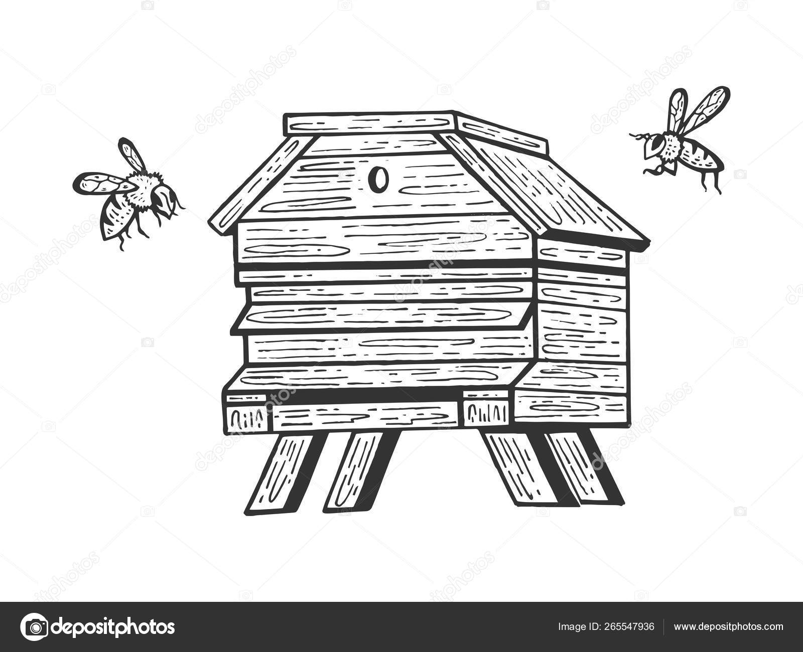 Bee hive and bees sketch engraving vector illustration. Scratch board ...