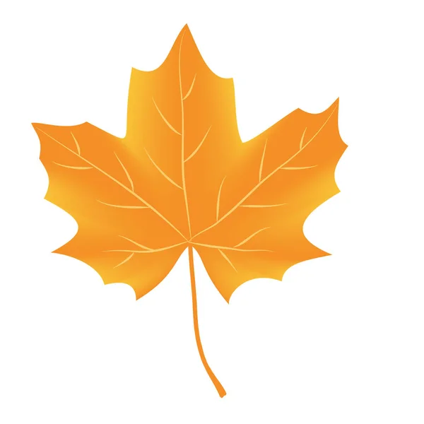 Golden leaf Stock Vector Image by ©tajim1 #2799828