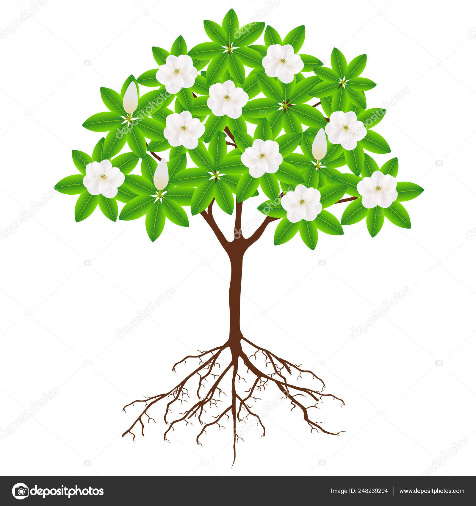 Flower With Roots Clipart