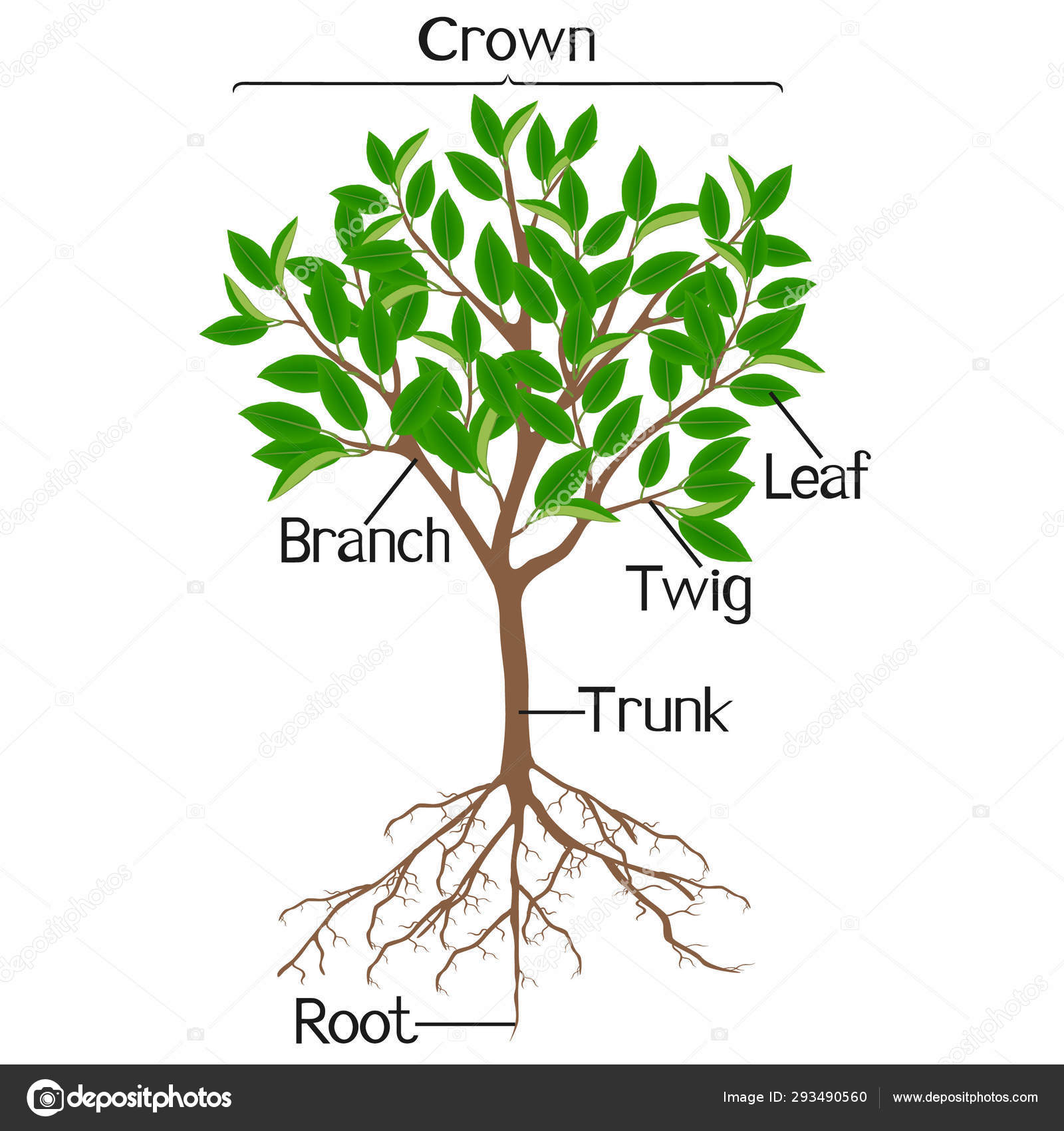 Vintage Family Tree Clip Art