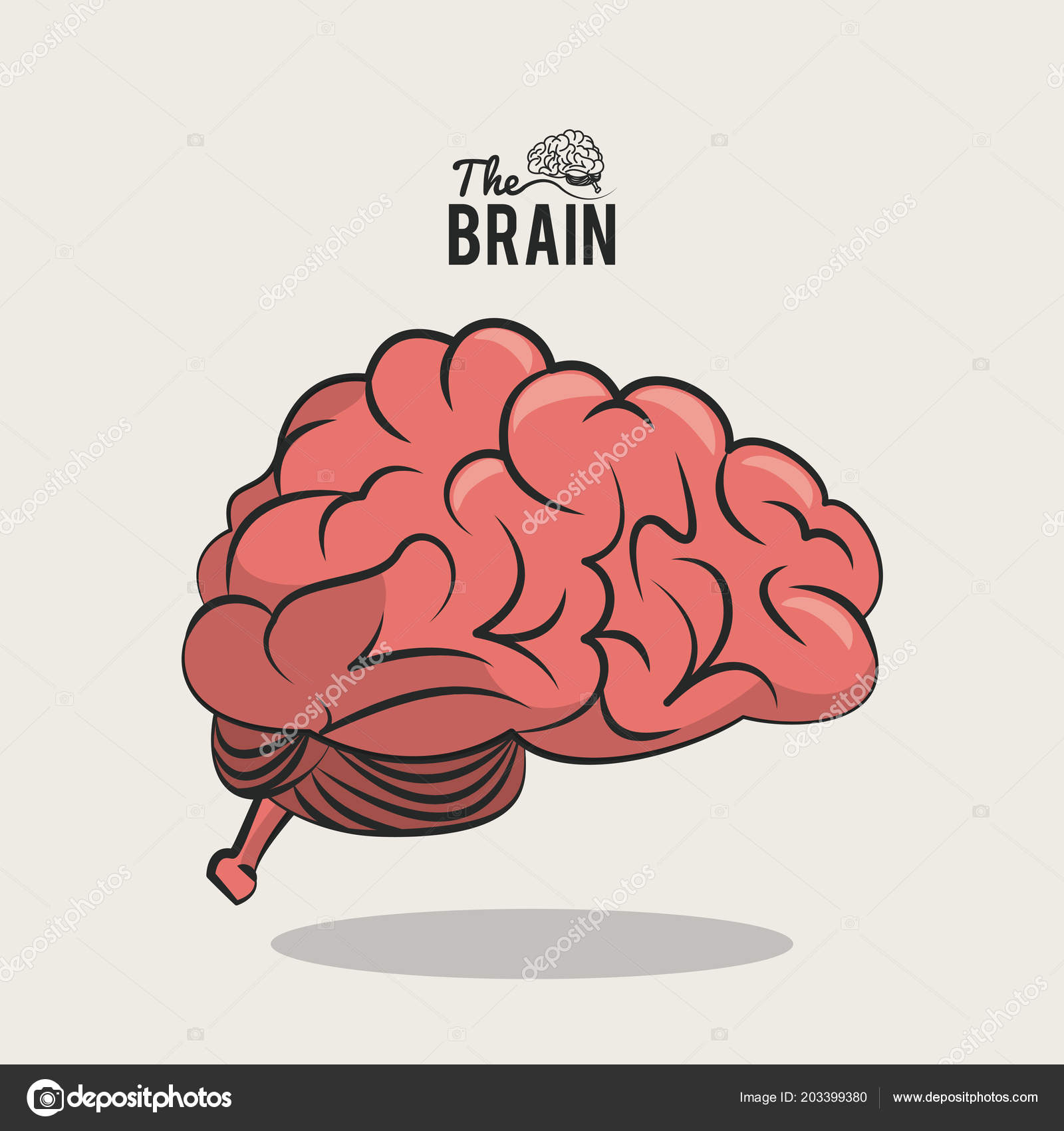 The human brain Stock Vector by ©jemastock 203399380