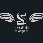 Silver Hawk Emblem Logo Sign Symbol Icon Stock Vector Image by ...