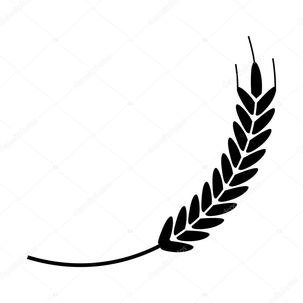 Espiga De Trigo En Blanco Y Negro Trigo Artesanal Disponibles También