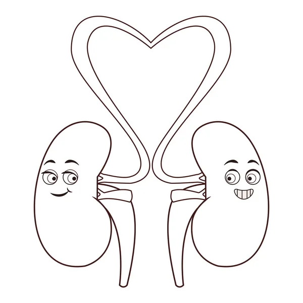 Nephron cartoon Stock Photos, Royalty Free Nephron cartoon Images ...