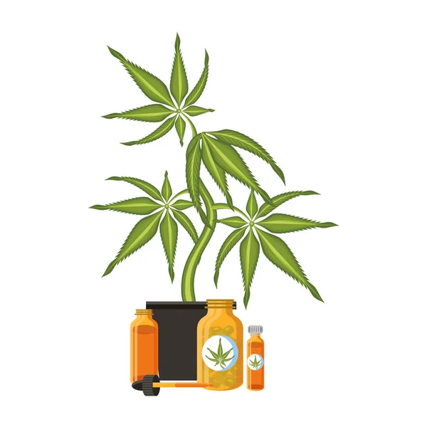 Cannabis martihuana sativa hemp cartoon Stock Vector Image by ...