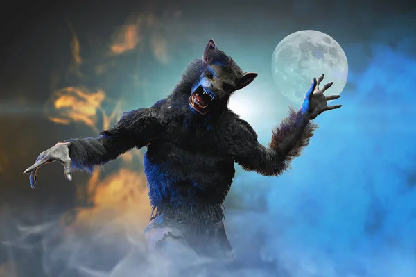 Werewolf halloween Stock Photos, Royalty Free Werewolf halloween Images ...