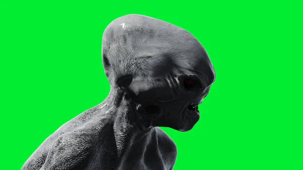 Scary green screen Stock Photos, Royalty Free Scary green screen Images ...