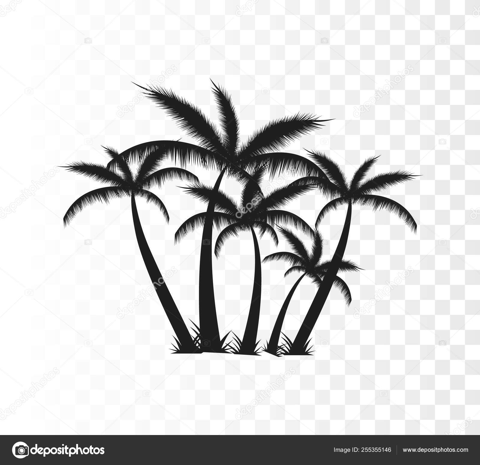 Palmera silueta vector ilustración. Vector de stock #255355146 de ©Ket4up