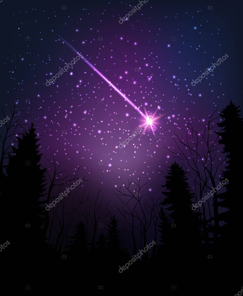 Estrella cayendo en la noche oscura. Cielo estrellado sobre bosque ...