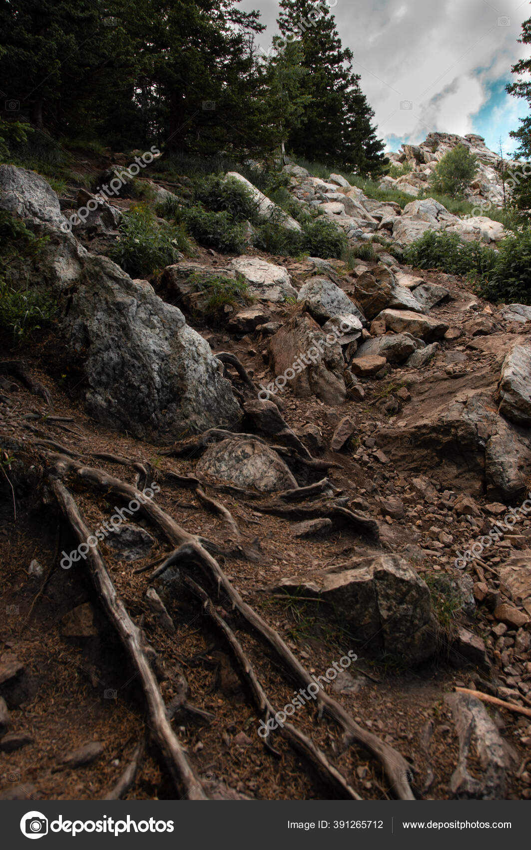 Mountain Trail Tree Roots Stones View Top Mountain Blue Sky — Stock ...