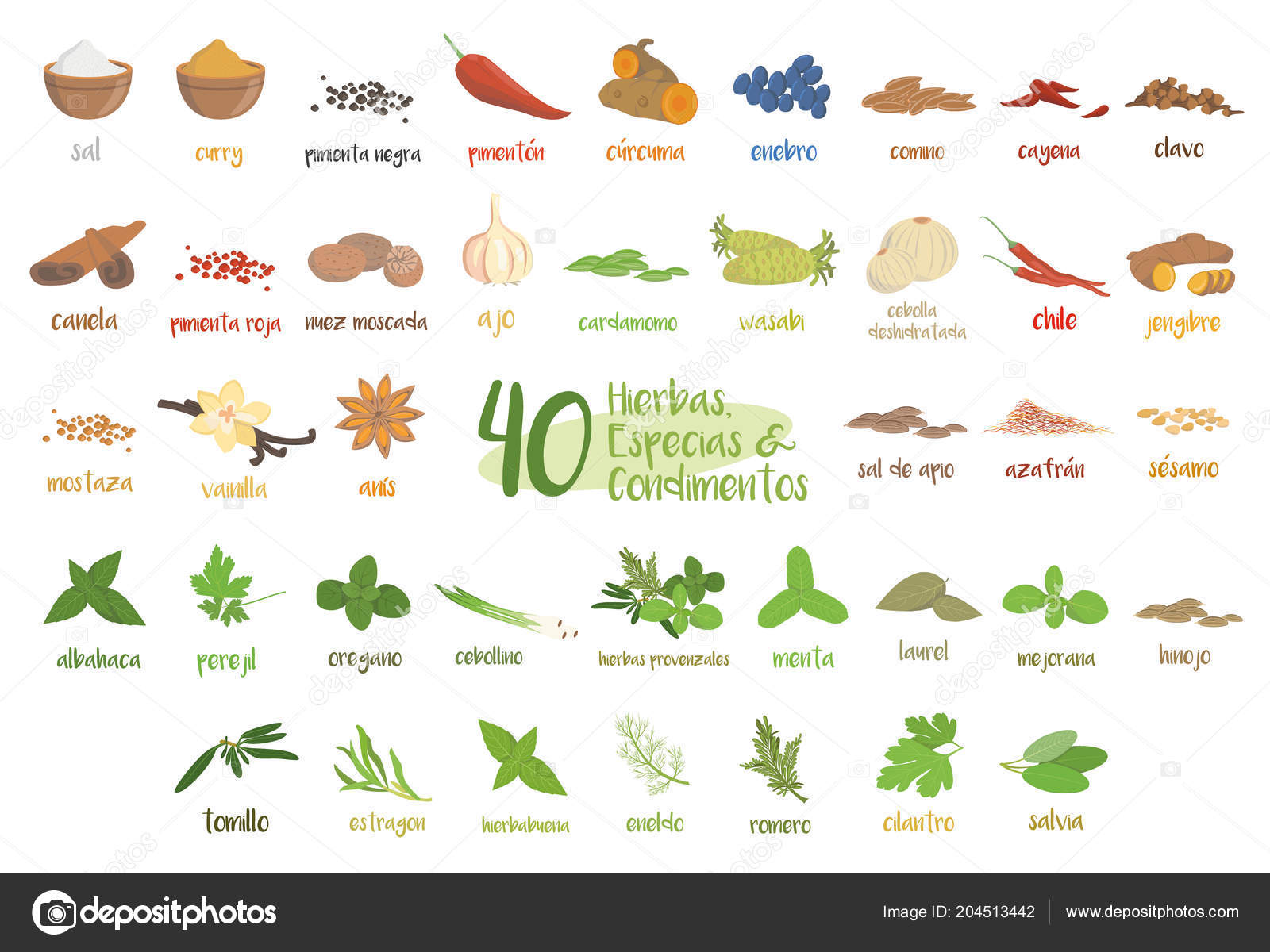 Set Different Culinary Herbs Species Condiments Cartoon Style Spanish ...