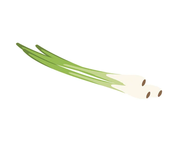 Garlic and herbs Vector Art Stock Images | Depositphotos