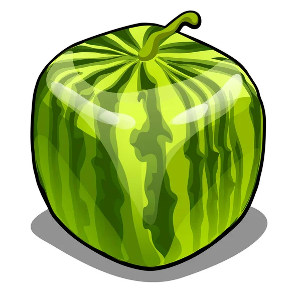 100,000 Square watermelon Vector Images | Depositphotos