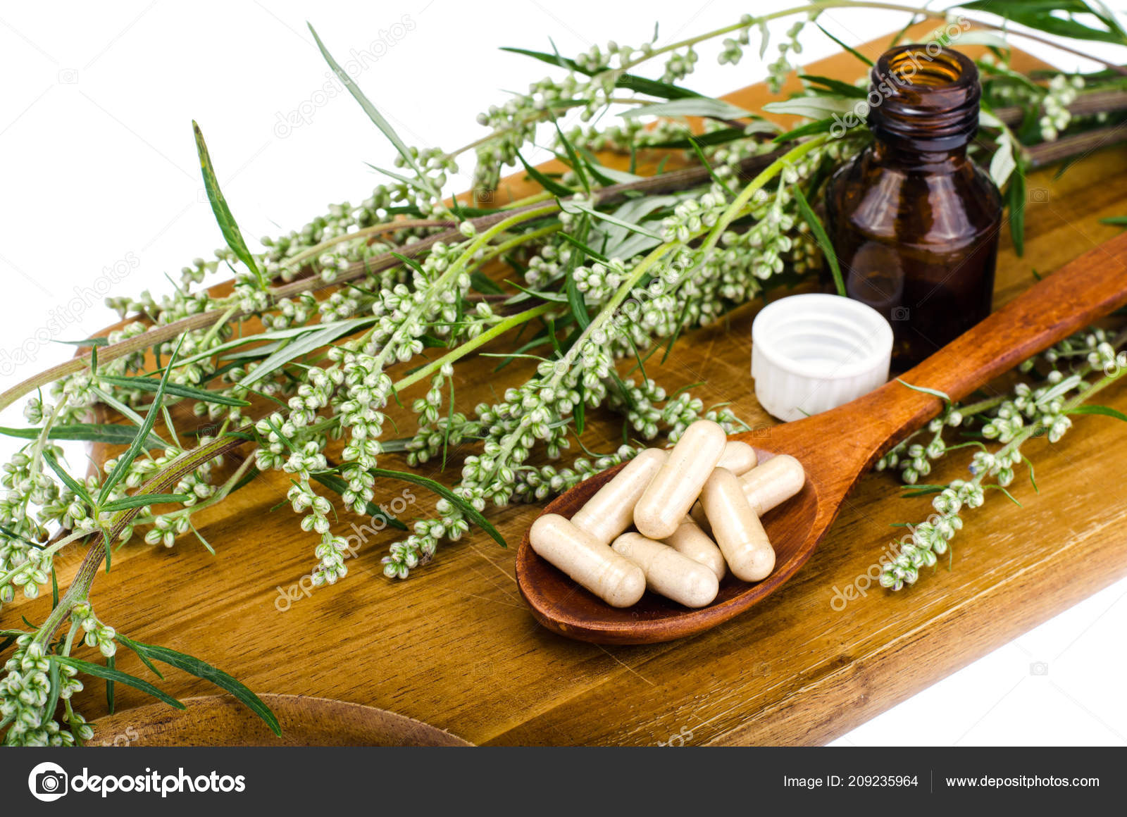 Natural herbal capsules from medicinal plants Stock Photo by ...