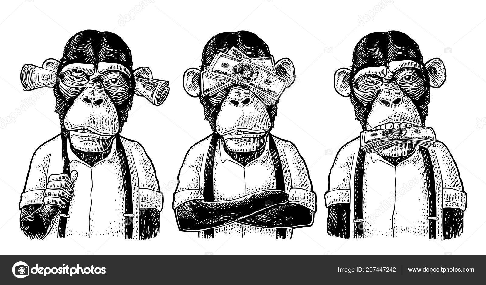 Three Wise Monkeys Drawing
