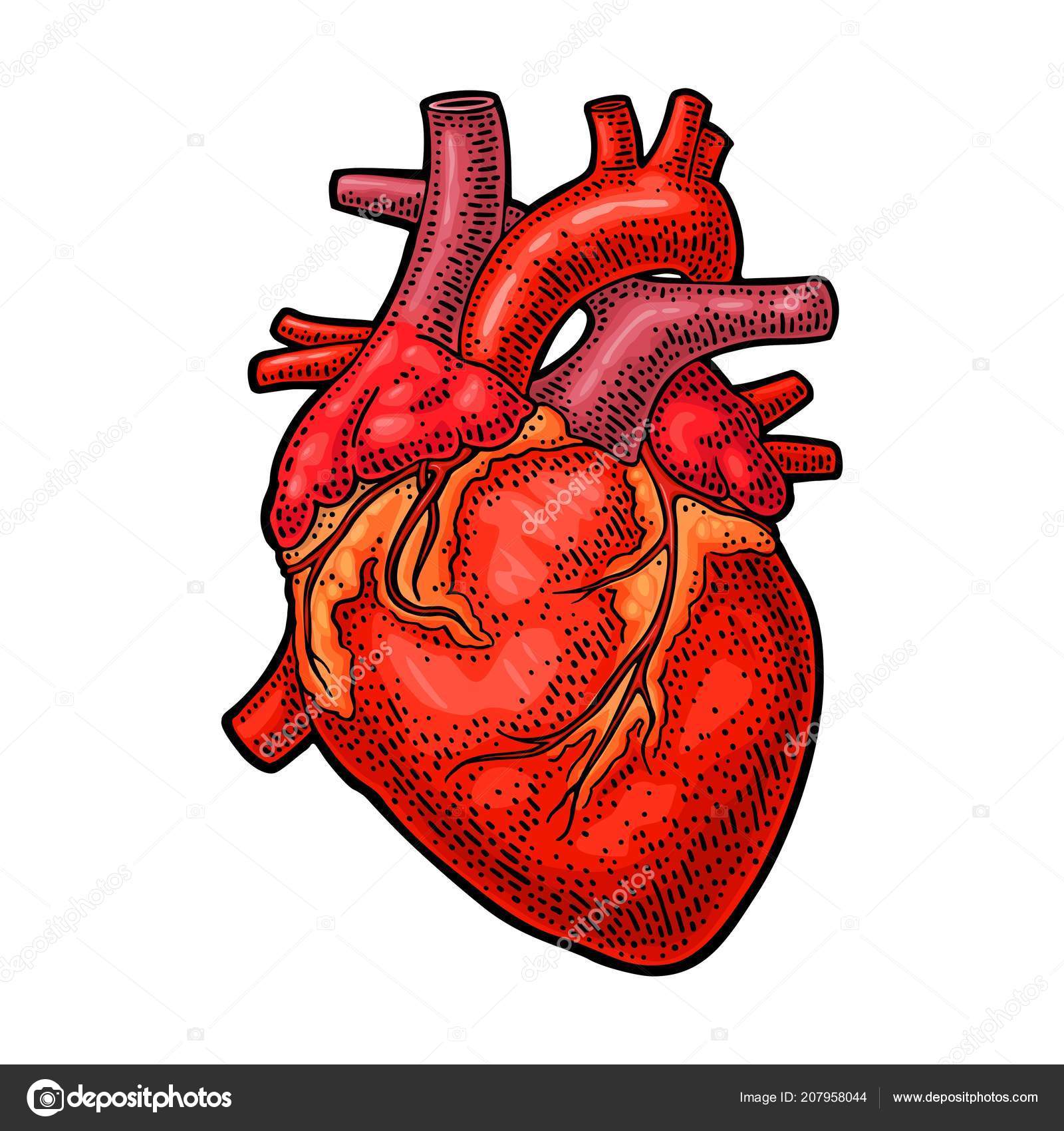 Drawings Of Hearts With Color