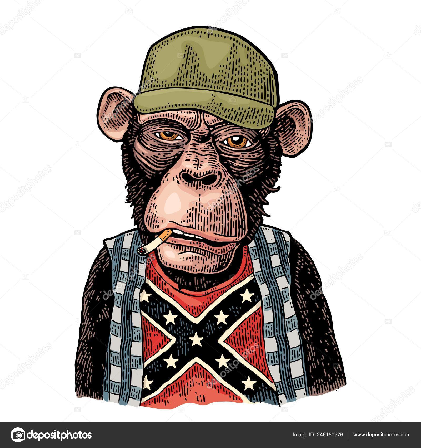 Monkey redneck in trucker cap, t-shirt with flag Confederate. Stock ...
