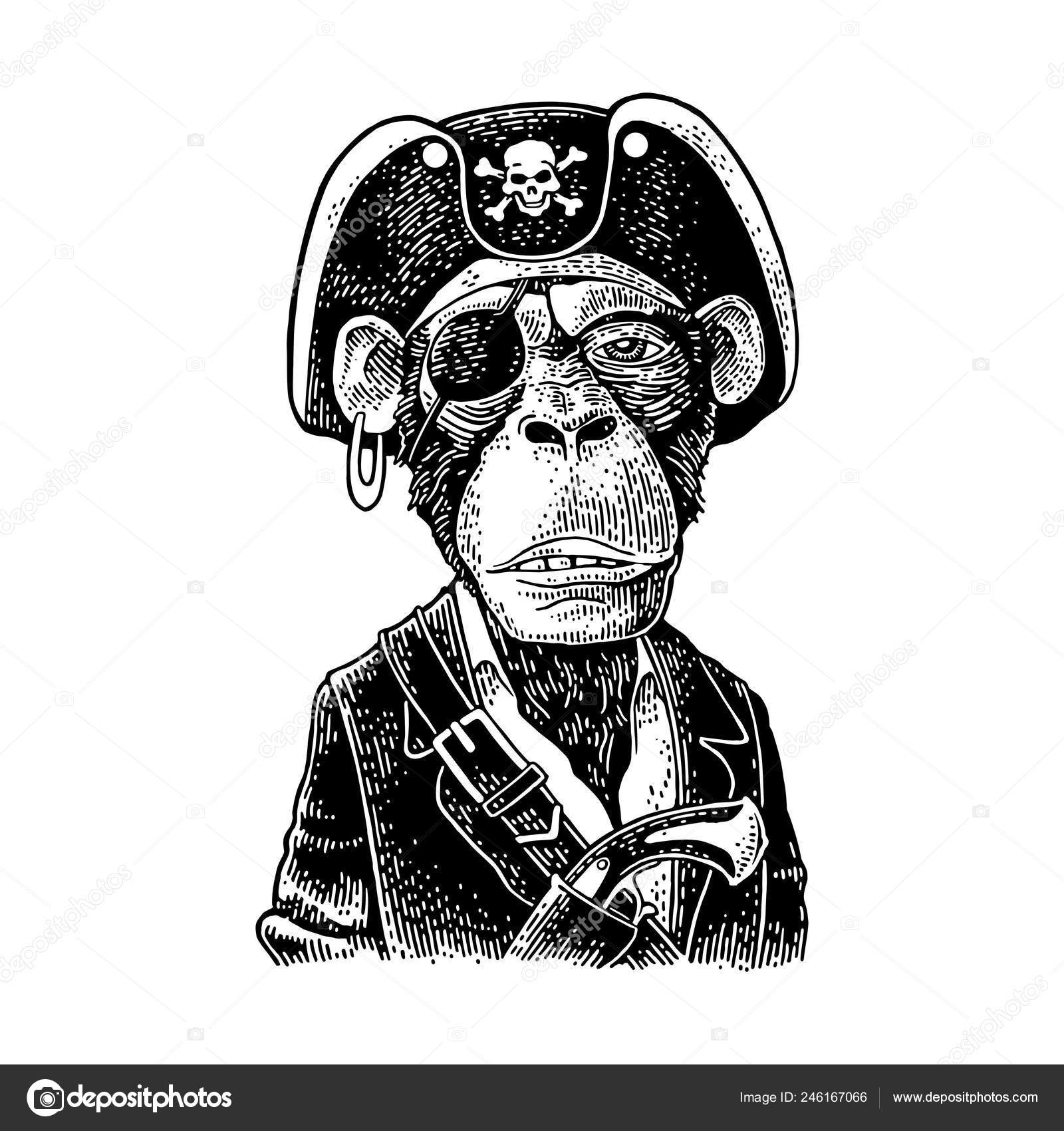 Pirata mono con pistola vestida con un sombrero de gallo. Grabado ...