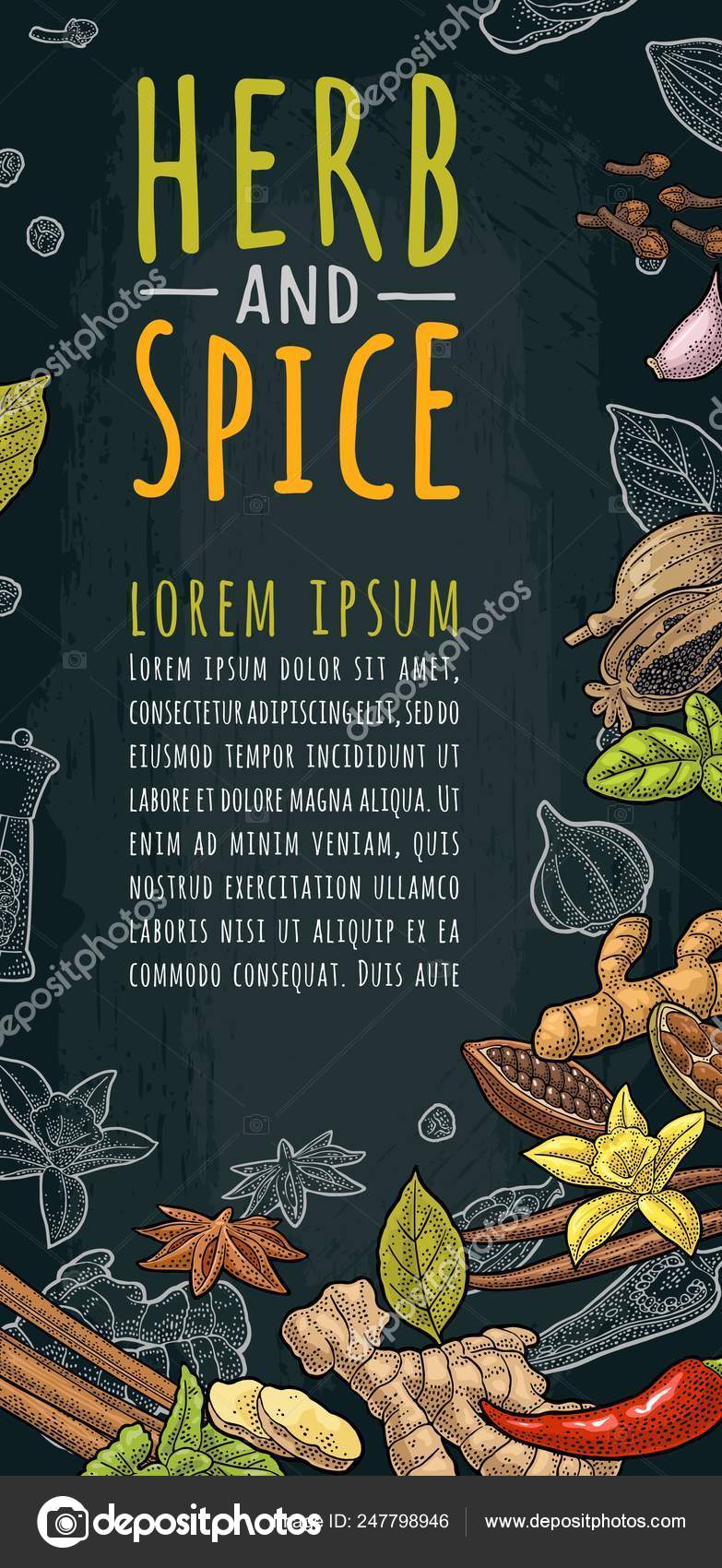 HERB and SPICE handwriting lettering. Set vector color engraving Stock ...