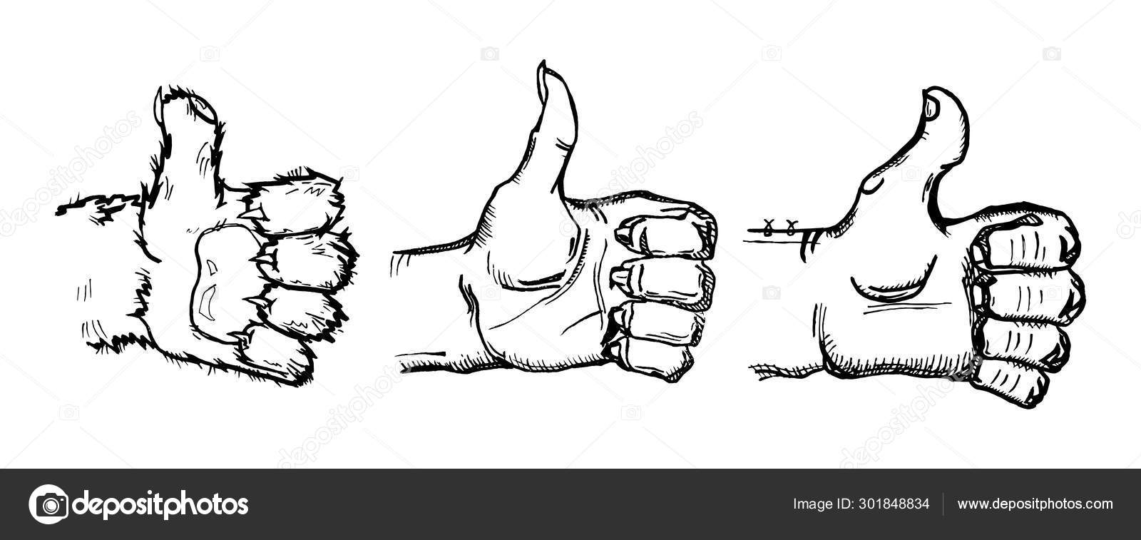 Hand showing symbol like isolated on a white background. Stock Vector ...