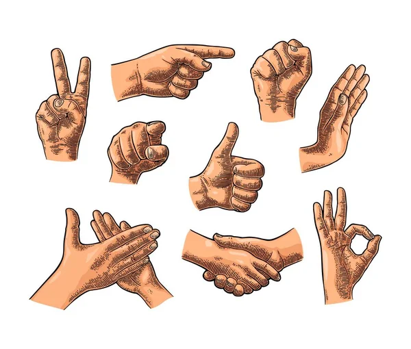 Male Hand sign. Like, Handshake, Ok, Stop, Middle finger, Victory Stock ...