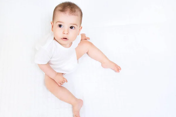 Beautiful Cute Baby Backside White Background Stock Photo by ©iuricazac ...