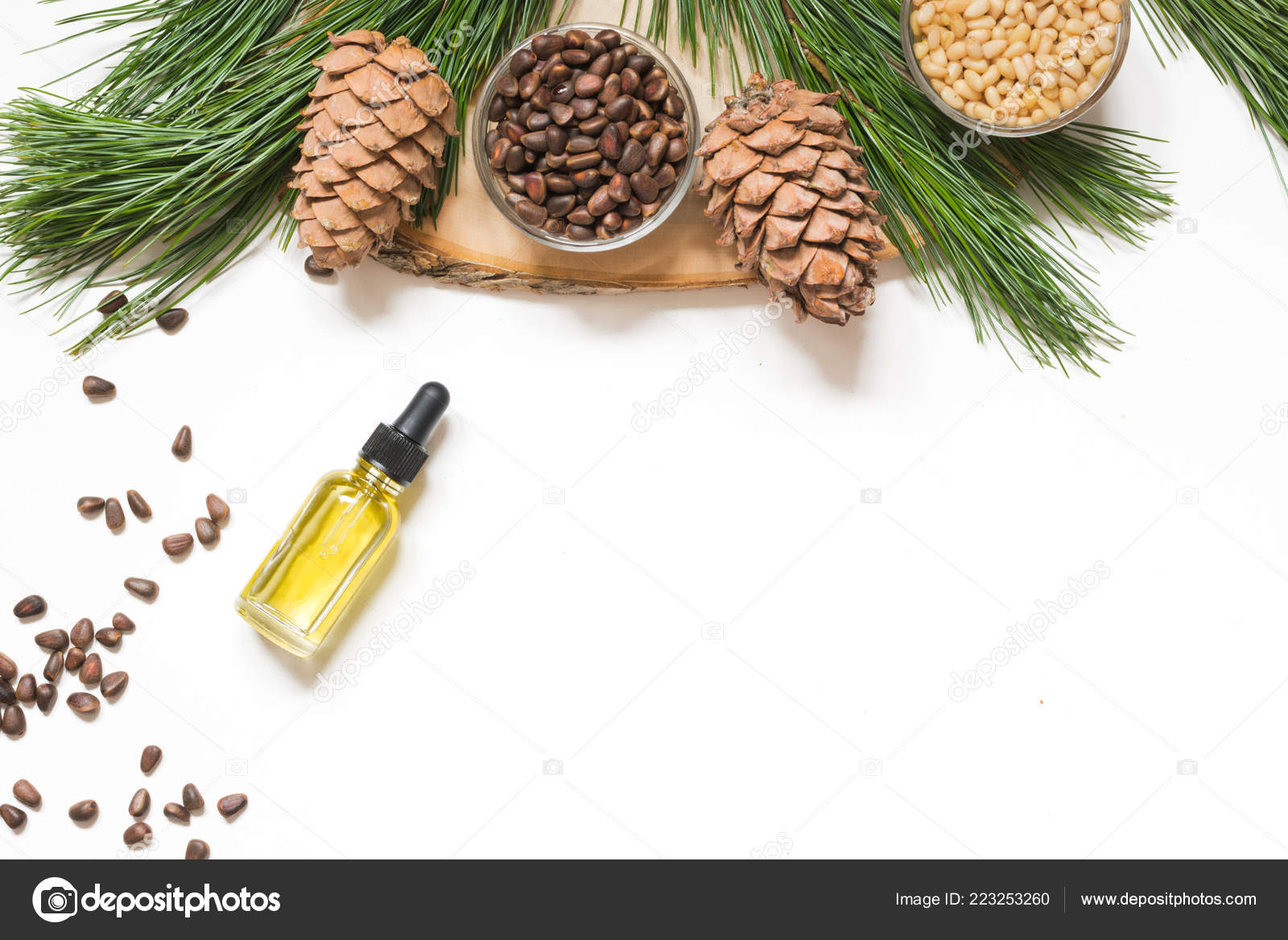 Cedar Oil Branches Cedar Cone White Background Copy Space Beauty Stock ...