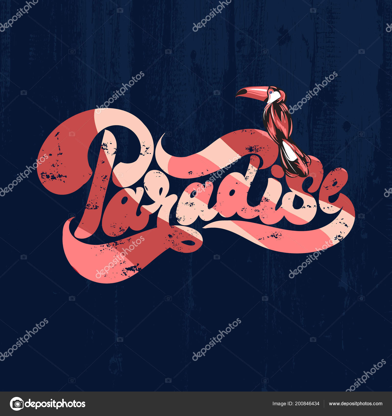 Paradise Handwritten Lettering Vector Hand Drawn Illustration Toucan ...