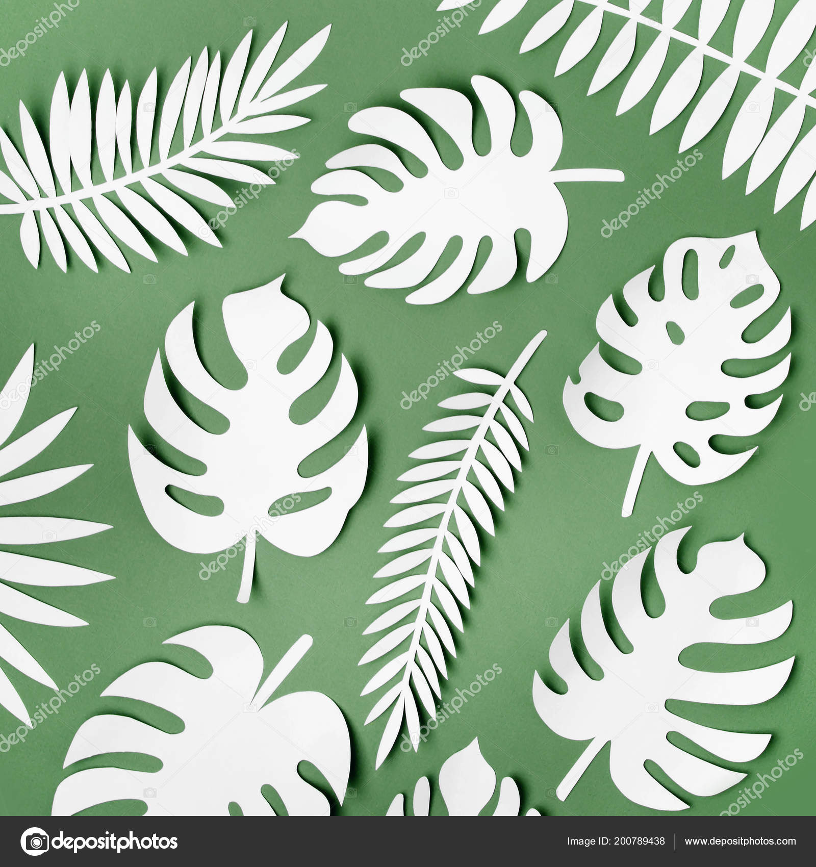 Tropical Leaf Patterns