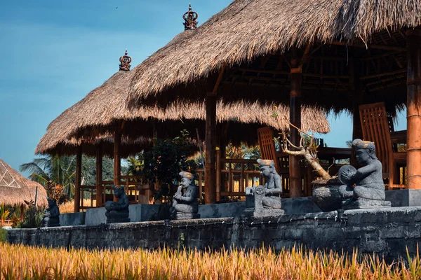 Traditional Balinese Farm House Rice Field Rural Landscape Cows Bali ...