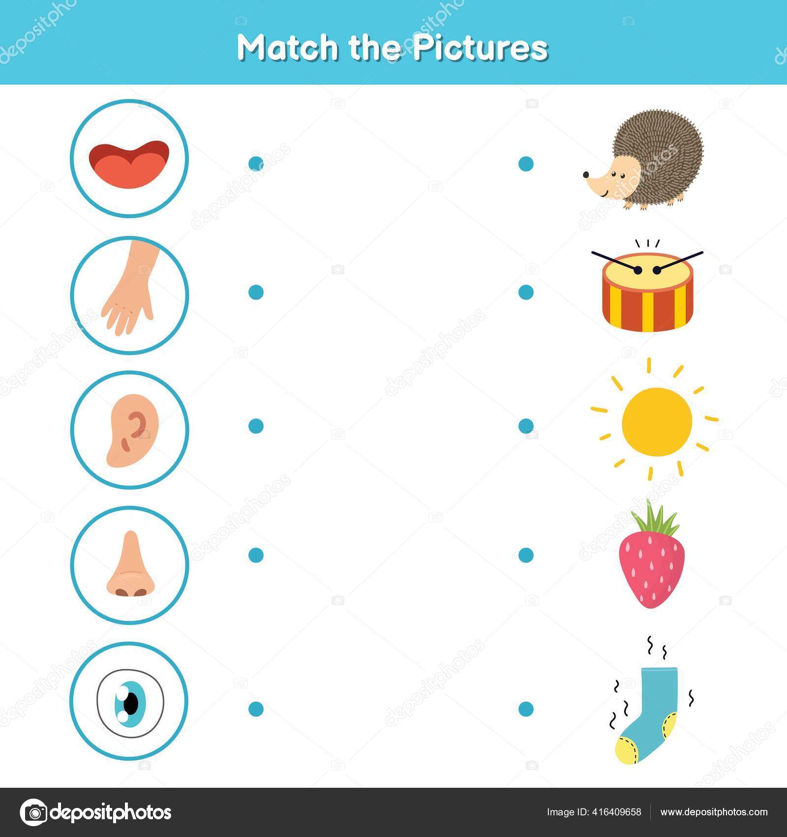 Hoja De Trabajo Para Cortar Y Pegar De Los 5 Sentidos Hojas De Trabajo