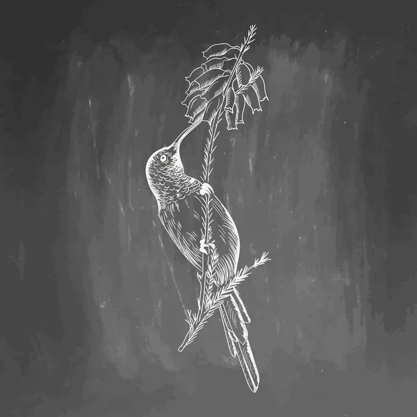 Dibujo de pixel de colibri Stock Photos, Royalty Free Dibujo de pixel ...