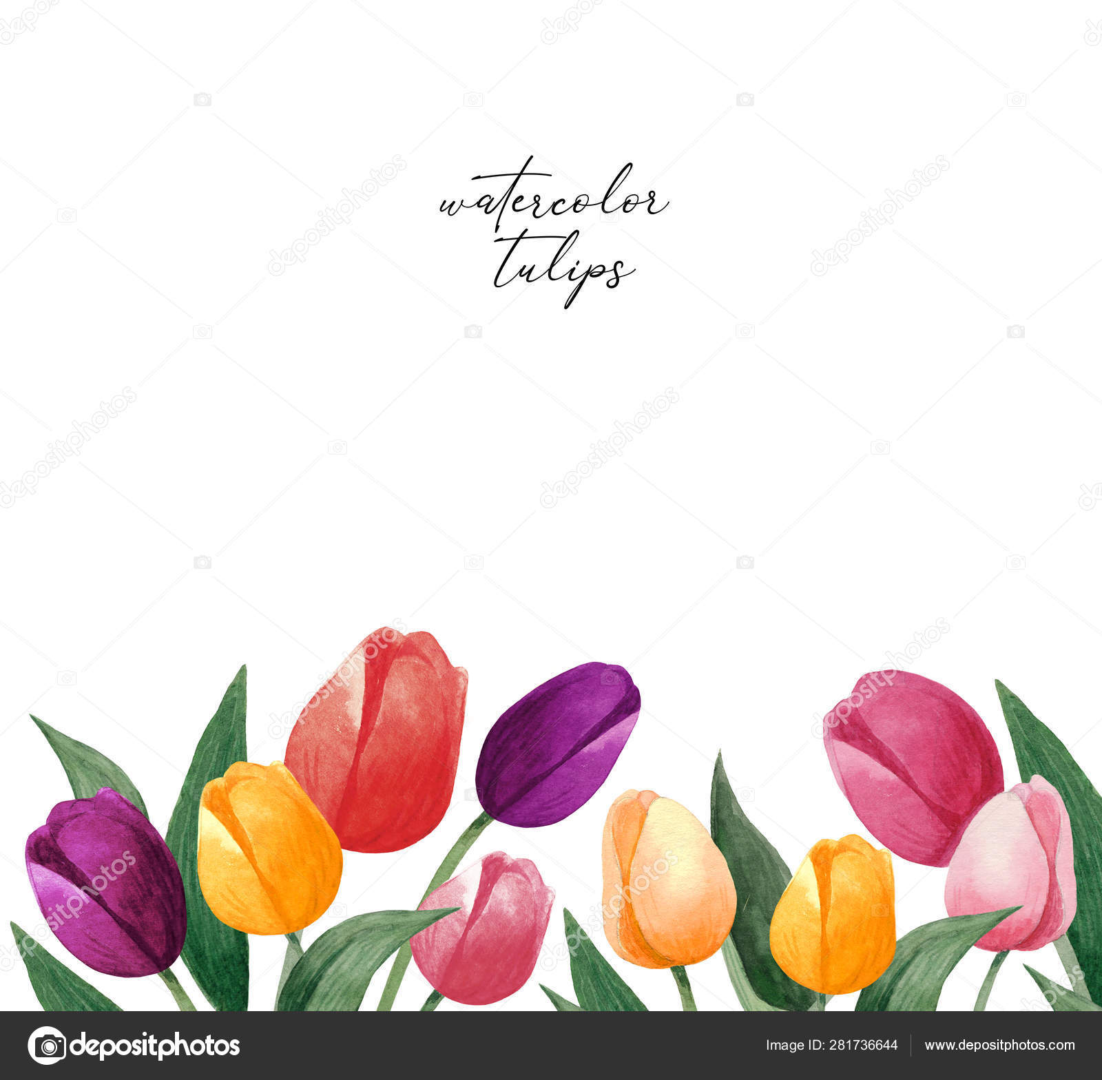 Clip Art Tulip Border